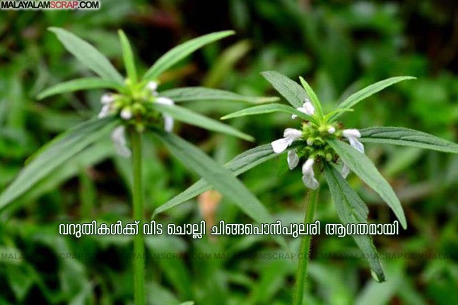 Chingam 1 2016: Significance, messages, wishes, greetings to be shared ...