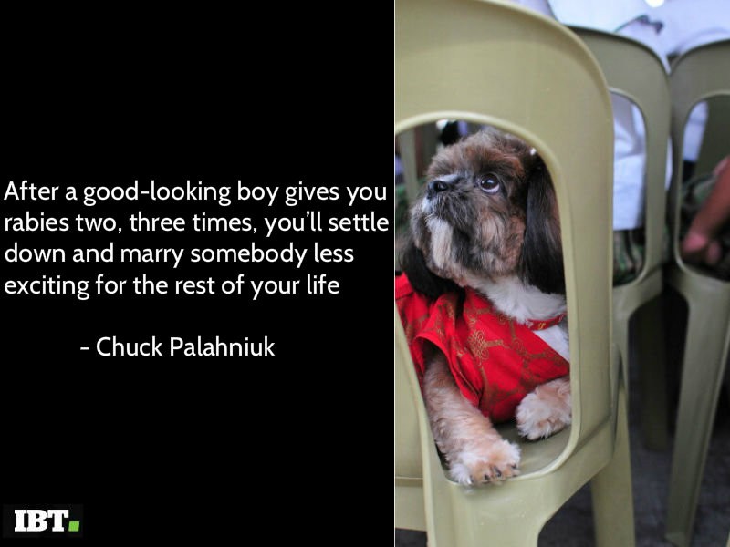 Rabies Quotes