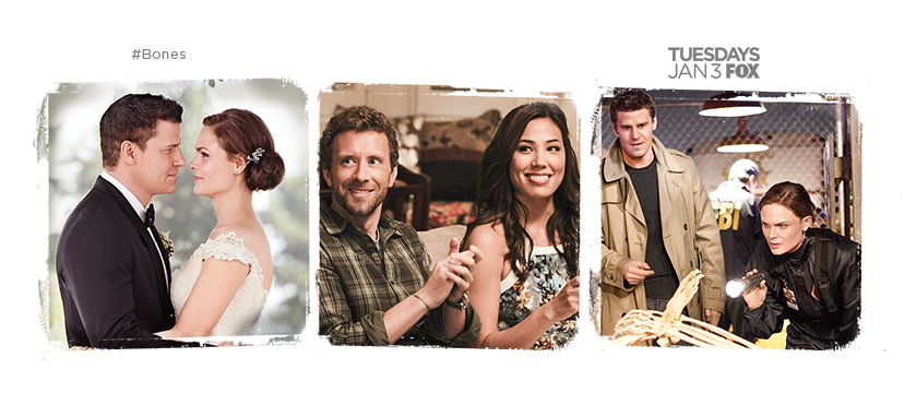 Bones Season 12 premiere dashes all hopes of Hodgins ever walking again ...