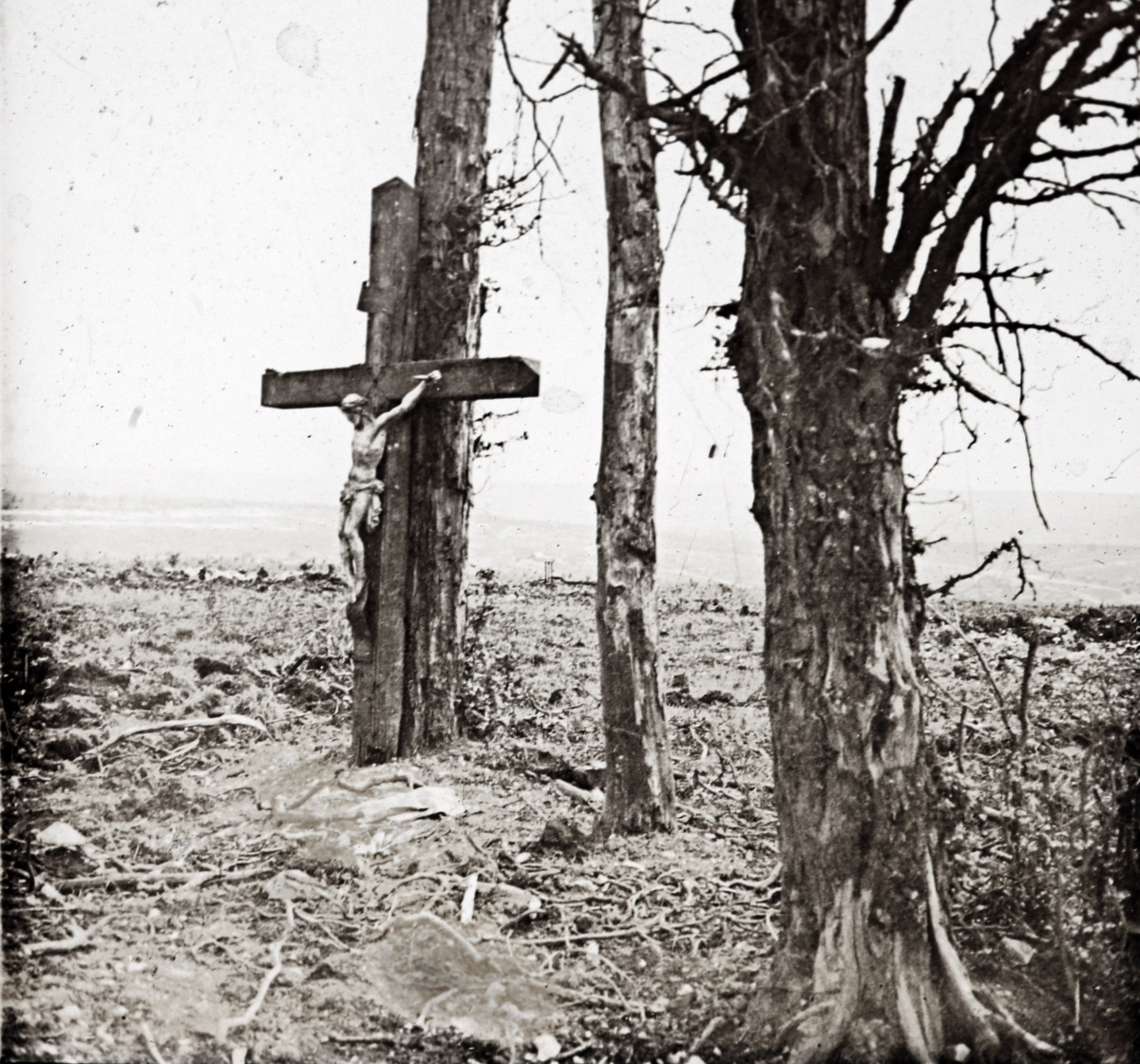 World War One 100th Anniversary: Rare and Unseen Images from WWI ...