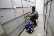 The Hurting Locker Trust And Liability Are Gone With The Wind
