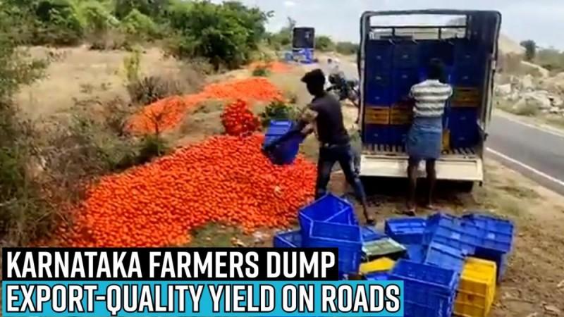 Amid Surging Prices Truck With Tomatoes Robbed In Bengaluru Ibtimes