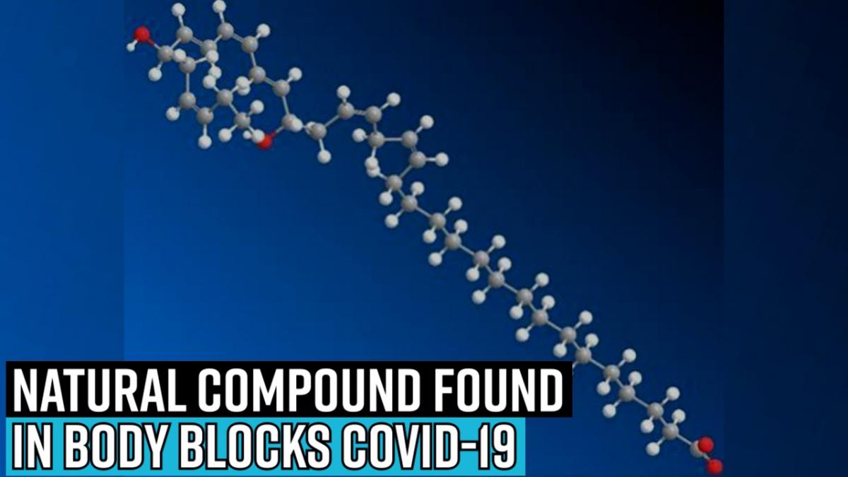Natural Messenger Compound In Body Blocks COVID-19; New Cellular ...