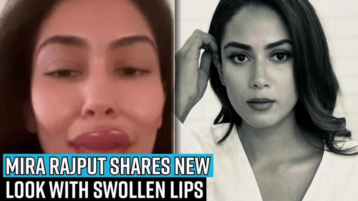 Mira Rajput shares new look with swollen lips and puffy cheeks ...