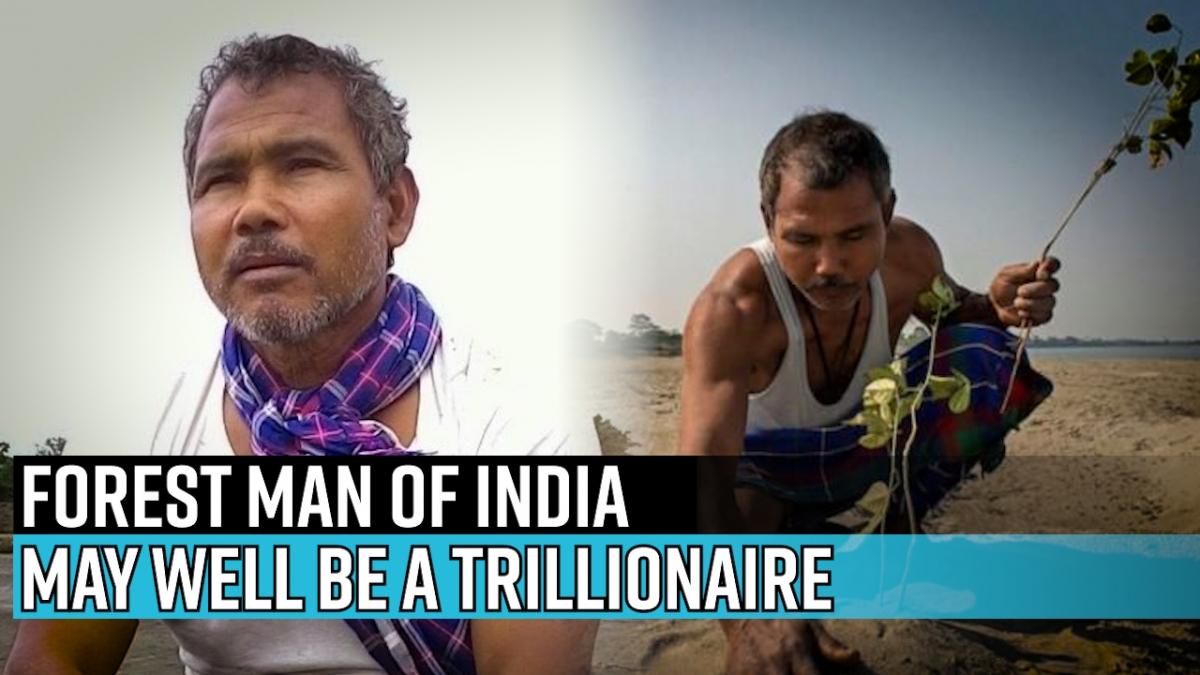 Forest Man of India, Jadav Peyang gifted mankind forest spread over ...