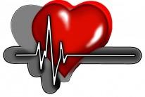 NASA develops heart pump to help children born with only one ventricle ...