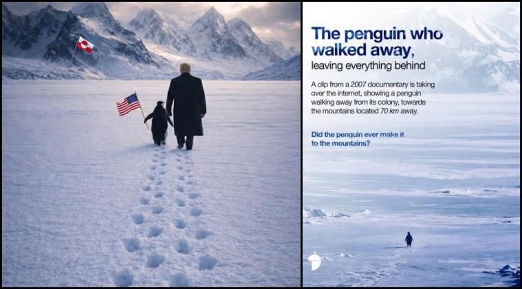 Donald Trump joins 'penguin meme' trend while holding a penguin's hand ...