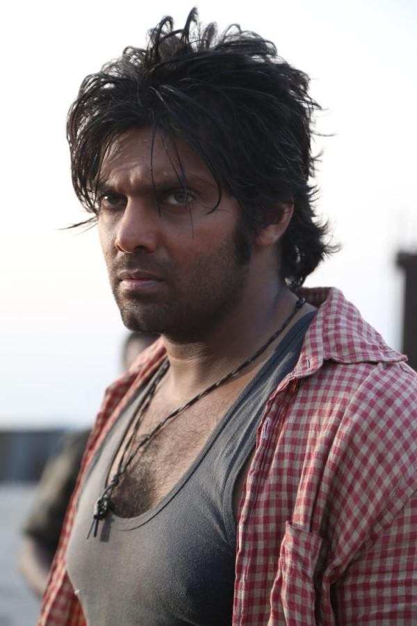 Yatchan Movie Stills - Photos,Images,Gallery - 13052