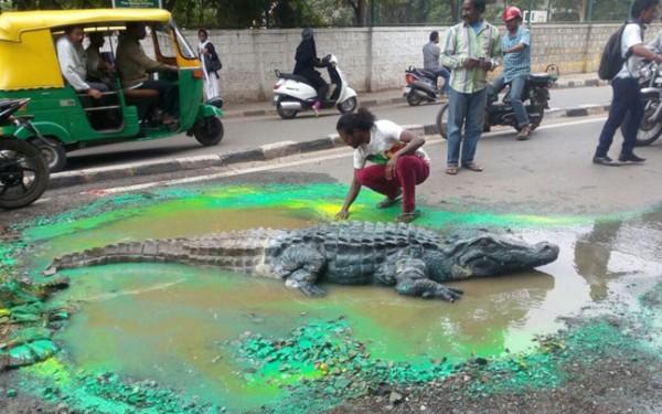 Bangalore artist makes crocodile swim in giant Pothole - Photos,Images ...