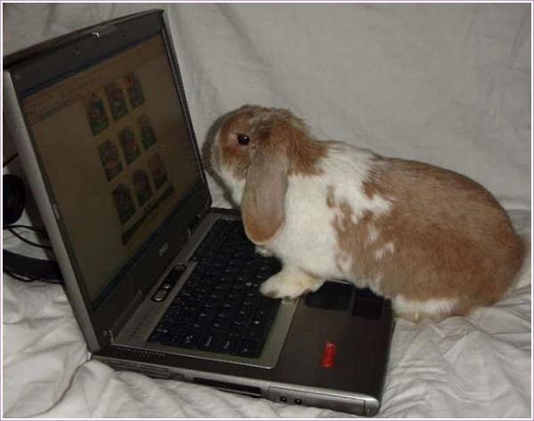 World Photography Day: Funny Pictures - Photos,Images,Gallery - 27628