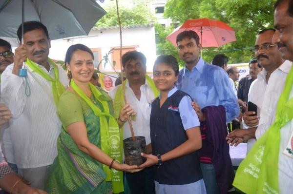 Nagarjuna, Amala, Akhil Akkineni plant saplings as part of Haritha ...