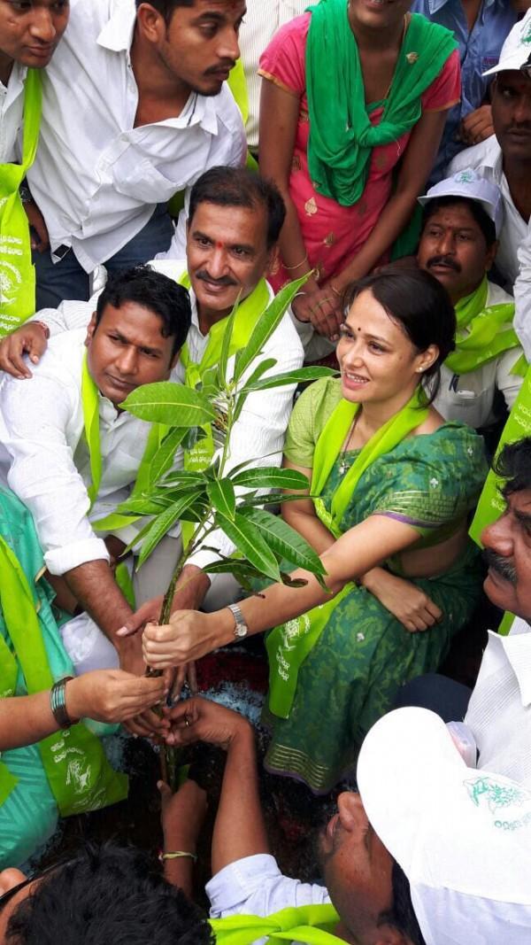 Nagarjuna, Amala, Akhil Akkineni plant saplings as part of Haritha ...