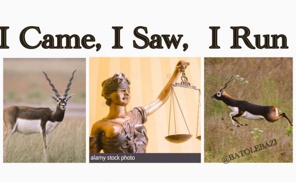 Salman Khan goes free in arms case: Hilarious memes on Bhai go viral ...