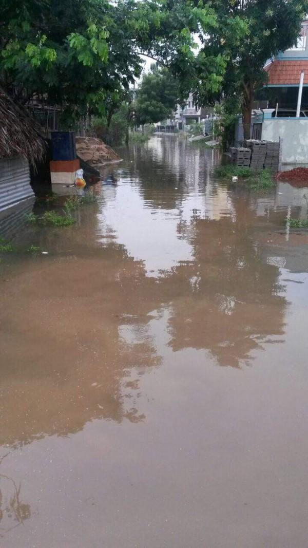 Continuous rain wreak havoc in Chennai - Photos,Images,Gallery - 76317