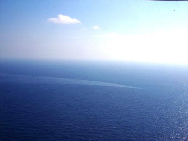 Oil spill in East China Sea - Photos,Images,Gallery - 81708