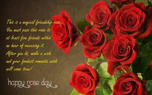 Happy Rose Day 2018: Best Quotes, Wishes, Images, SMS, Facebook Status ...
